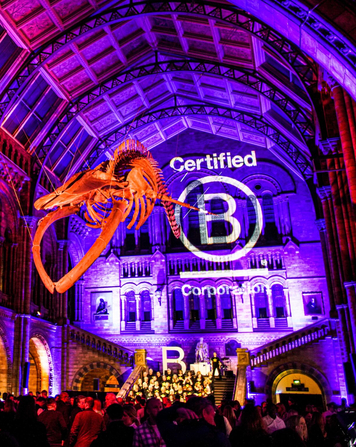 Home - The B Corp Festival